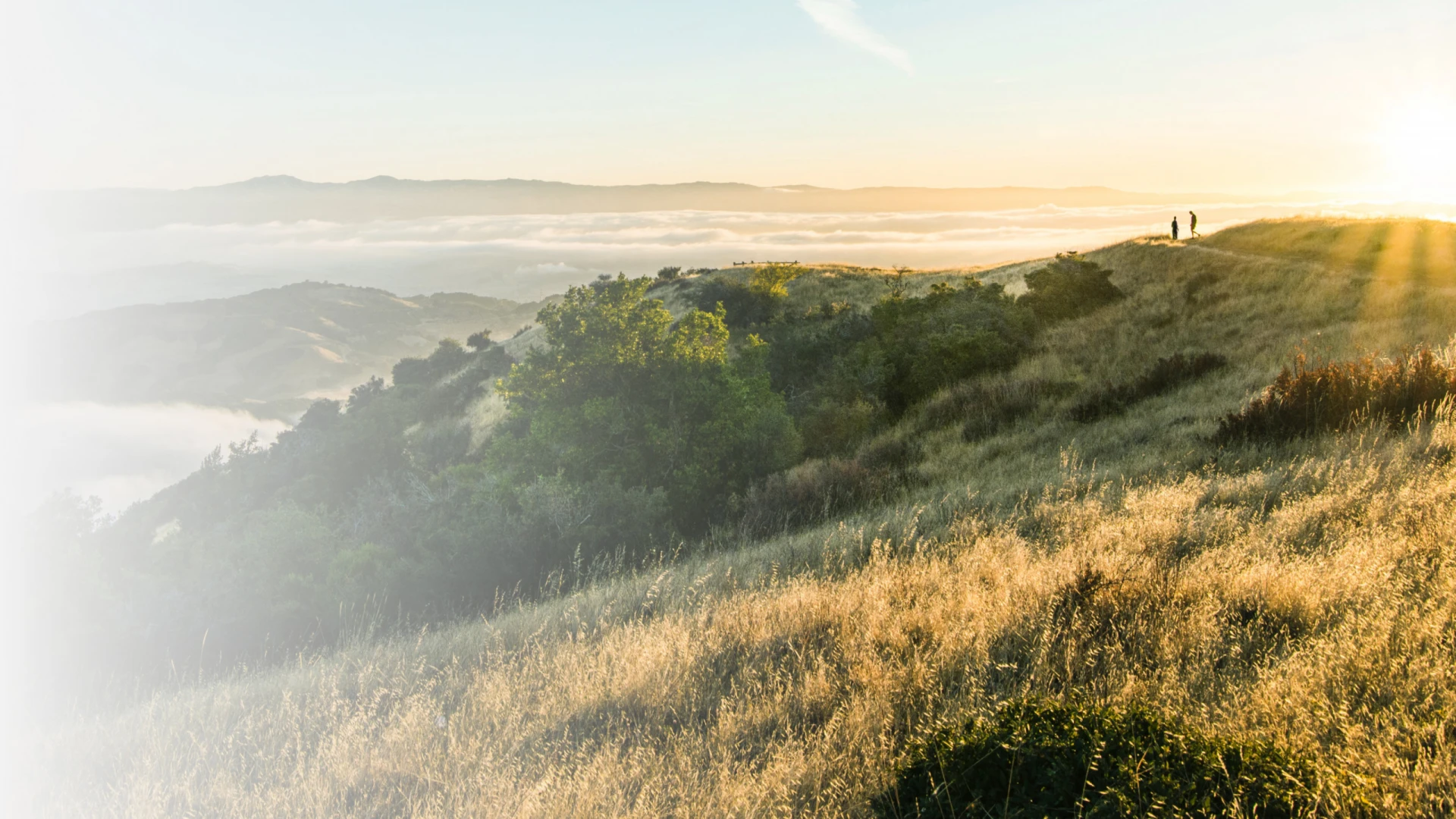 Homepage of Dieter Baier